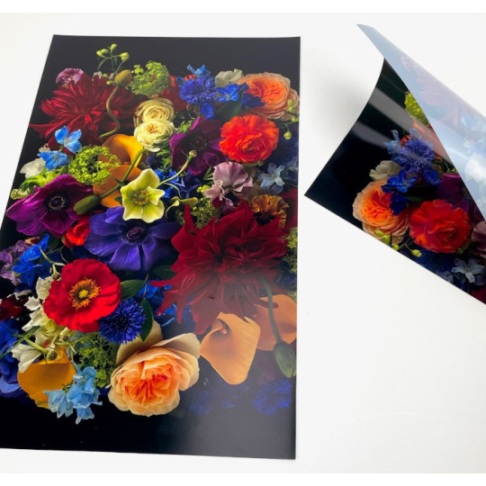 Impression Film Backlight de Caissons lumineux - SIGMA